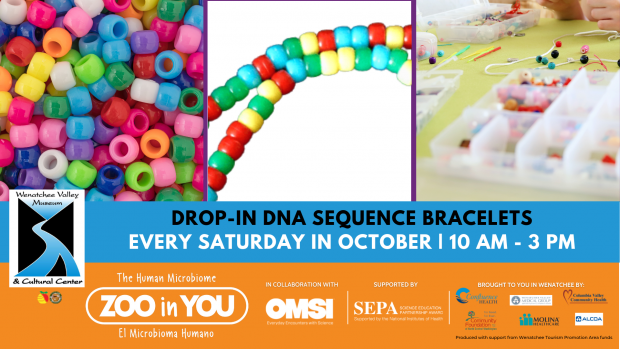 Drop-in DNA Sequence Bracelets | Wenatchee Valley Museum & Cultural Center