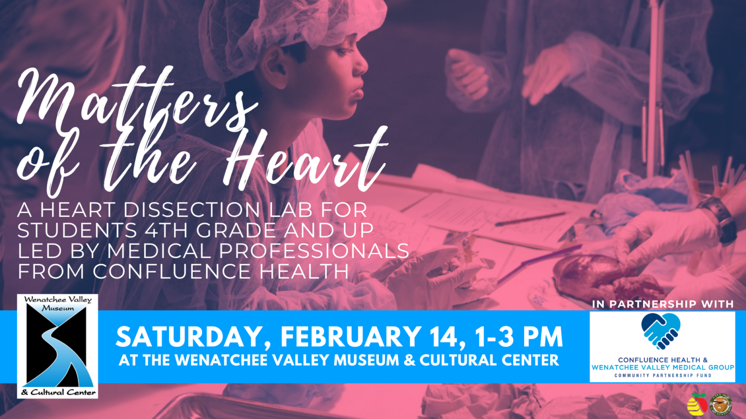 Matters of the Heart: A Heart Dissection Lab for Students | Wenatchee ...